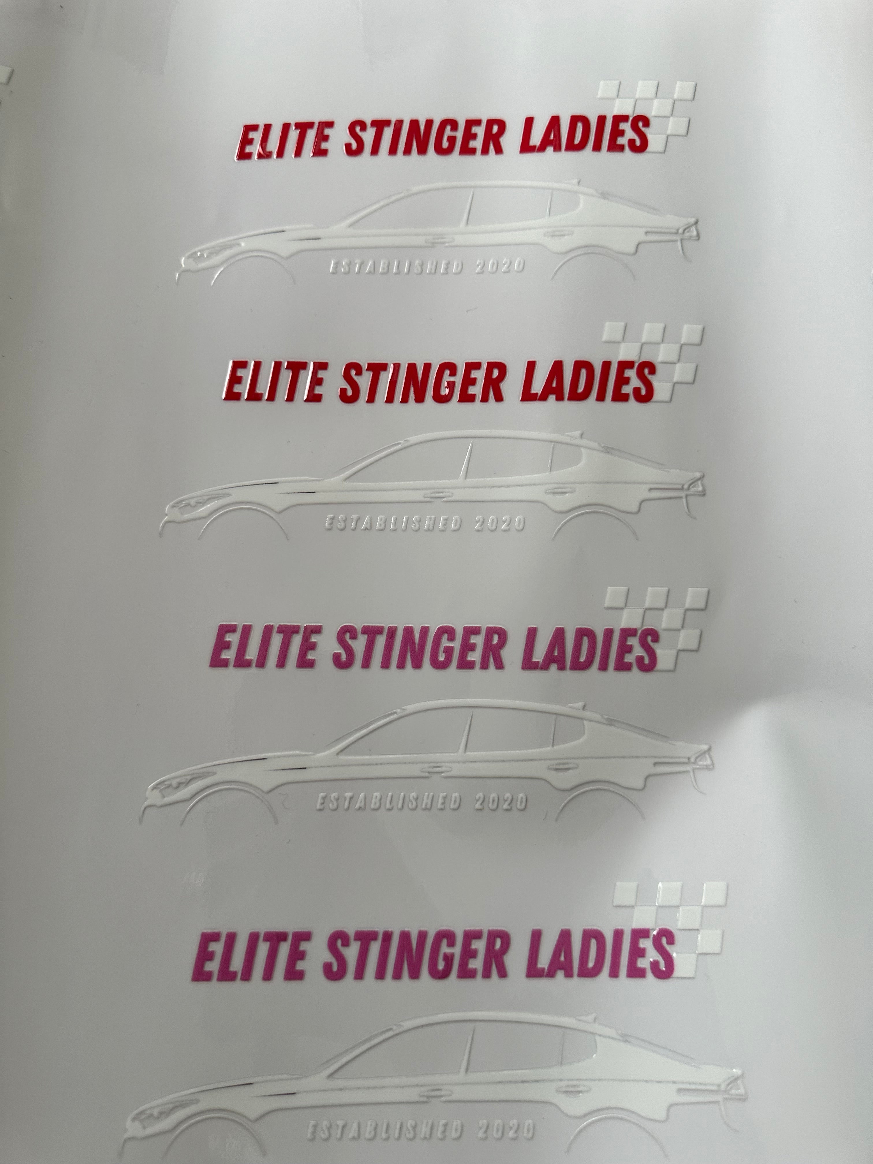 Elite Stinger Ladies Decal – Verity Rose Creations